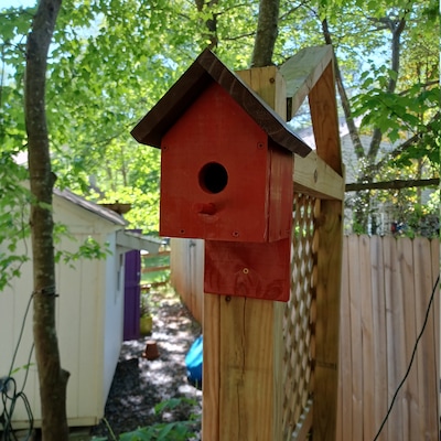Simple Bird House Plans & Instructions, Super Easy DIY Nature Project ...