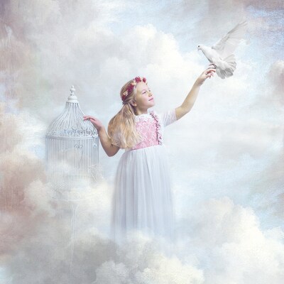 Dove Overlays, Pigeon Overlays, Wedding, Doves, Overlay, Birds ...