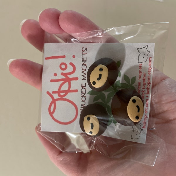 Happy Ohio Buckeye Magnets - Etsy