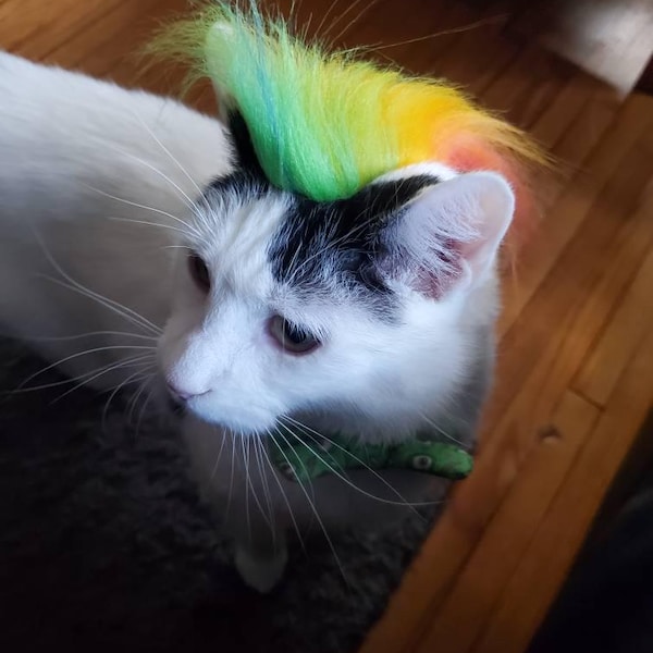 Cat Mohawk - Etsy