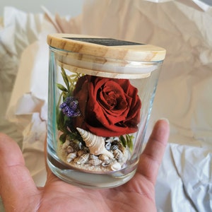 SPECIAL EDITION the Evermore® Preserved Rose Keepsake Gift - Etsy Canada