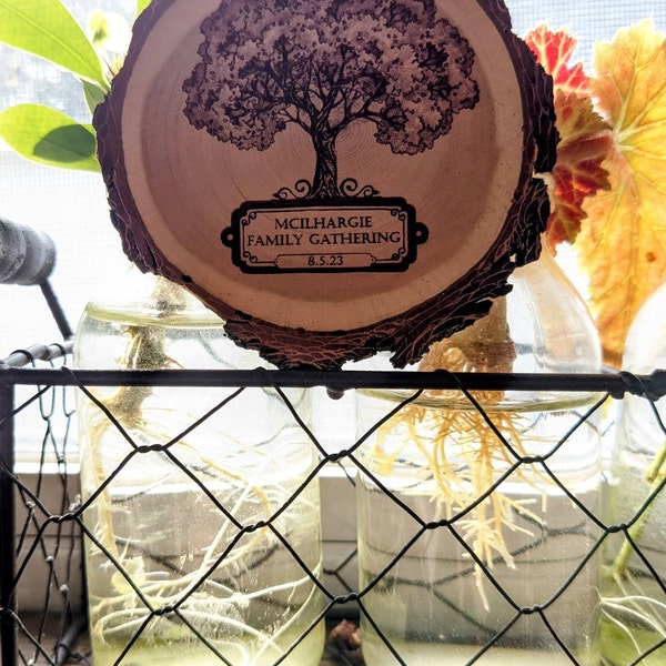 Engraved Family Reunion Wood Slice Magnets Personalized Family Tree of ...