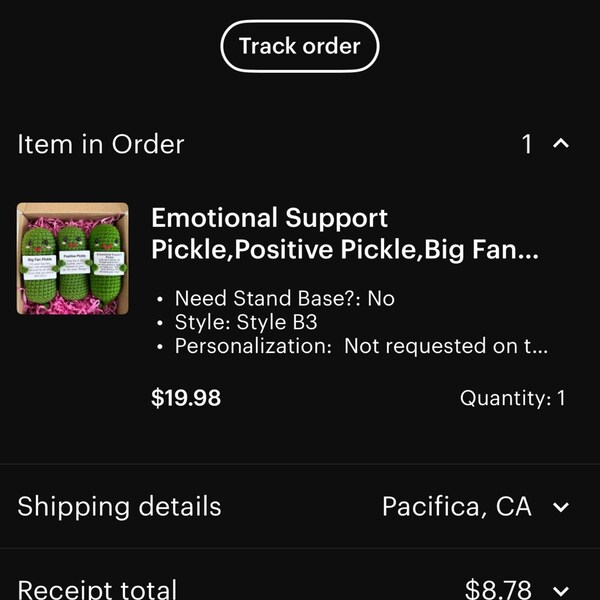Emotional Support Pickle,positive Pickle,big Fan Pickle,handmade ...