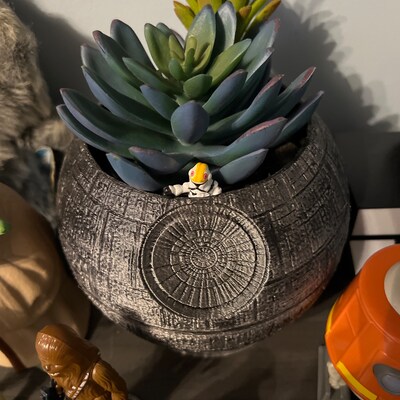 Death Star / Star Wars / Planter / Hand Painted - Etsy