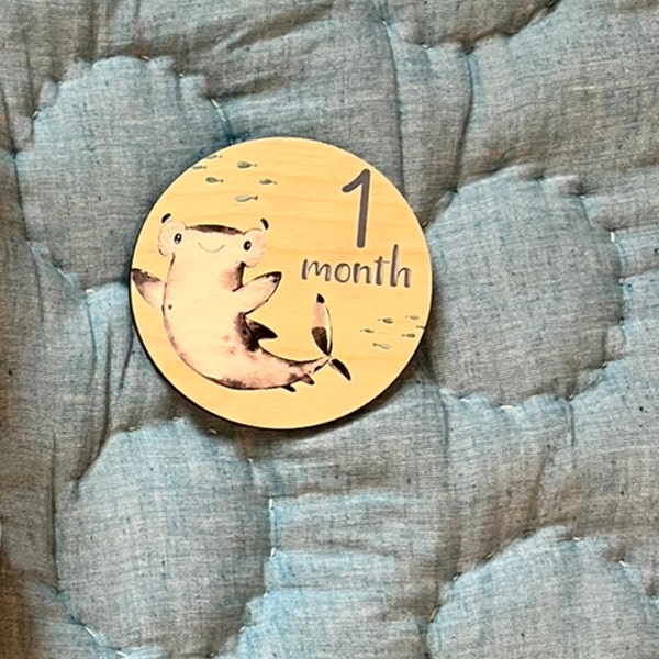 Shark Milestone Cards, Baby Milestone Ocean Life Discs Marker, Wood ...