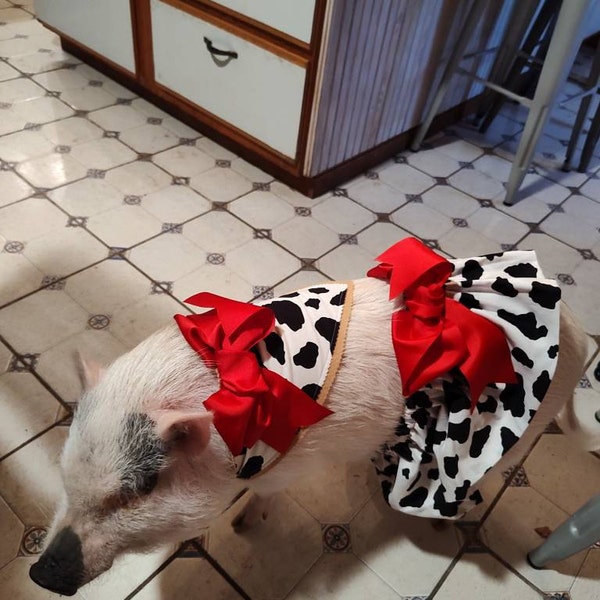 Skirt & Matching Bow Neck-band! Mini Pig Clothes, Pot Belly Pig Clothes ...