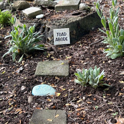 Toad Abode Funny Garden Sign Toad House Garden Sign Cute Gift for ...