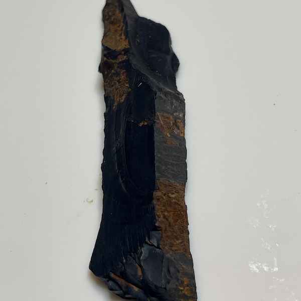 Large Rough Lignite, Raw Fossil Jet Tree Trunk, Lignite Stone Specimen ...