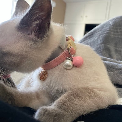 Princess Cat Collarrhinestone Cat Collarblush Pink Velvet - Etsy