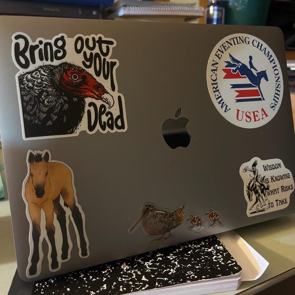 Turkey Vulture Sticker, Laptop Sticker, Water Bottle Sticker, Bumper ...