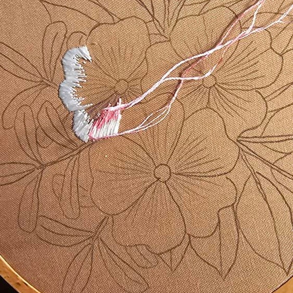 Fine Cotton Thread for Hand Embroidery - 30-yard Skeins Type - Color ...