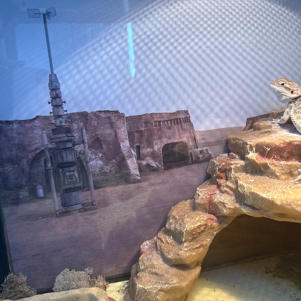 Movie Set Standard Terrarium Background - Etsy