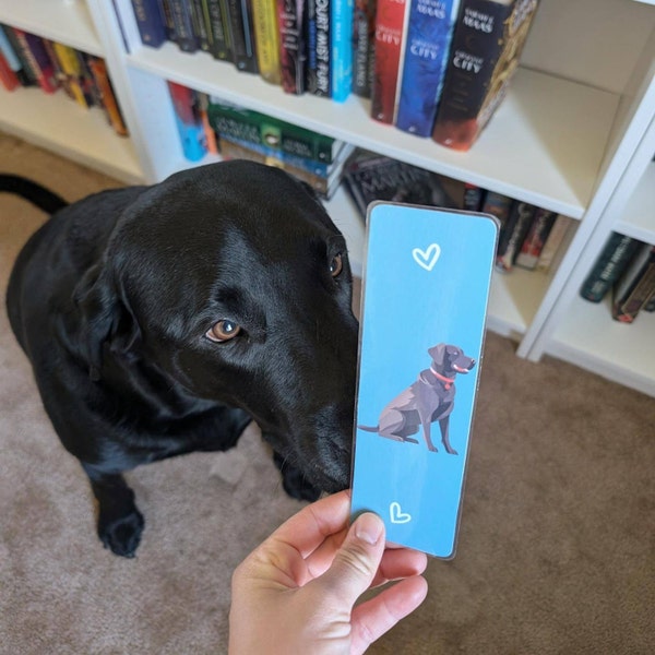 Kindle Case Insert | E-reader Clear Case Backgrounds | Floral Design ...