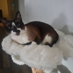 Wood Floral Cat Tree Cozy Plush Wooden Cat Tower Modern Cat - Etsy