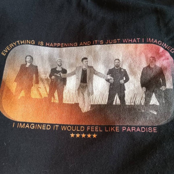 The Awakening Embroidered Cap | IYKYK JC Chasez *NSYNC Boyband Fan ...