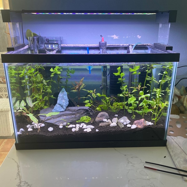 Hygger Programmable Light Riser, Attractive Stable Elevated Stand ...