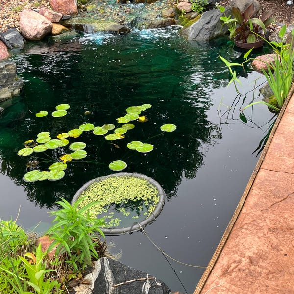 XL 12" Floating Plant Barrier Corral - Self Leveling + Free Mystery ...