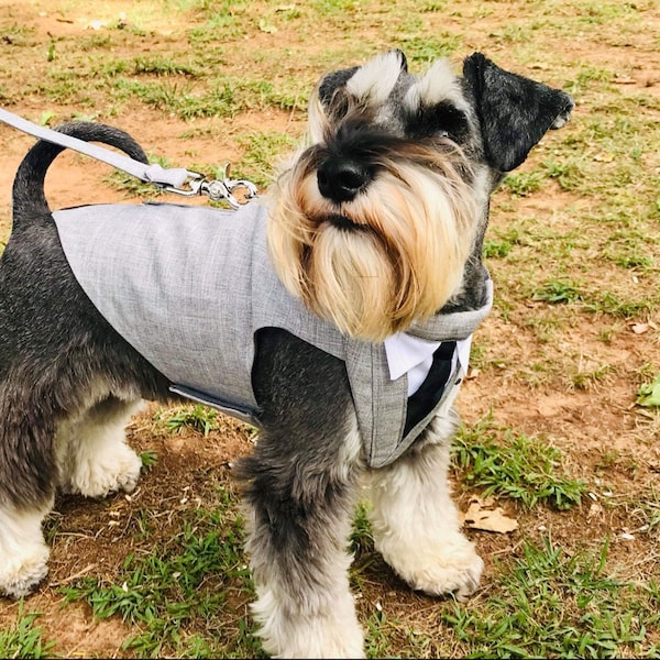 Blue Formal Dog Tuxedo, Dog Wedding Tuxedo , Dog Attire , Pet Clothing ...