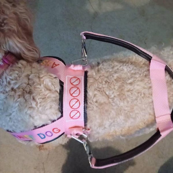 Cape Tab Custom Attaches to Dog Harness - Etsy