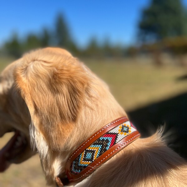Leather Dog Collar With Red, Yellow, and Blue Beaded Design - Etsy