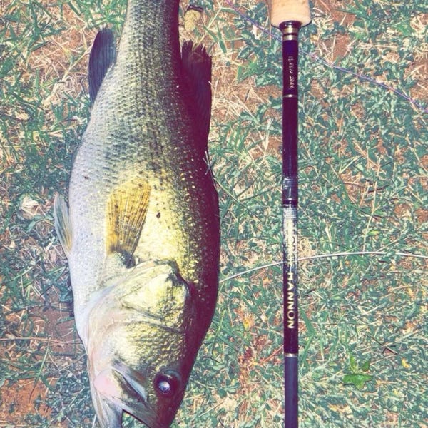 Chestonia Custom 8' 6 3 Wt. Fly Rod - Etsy