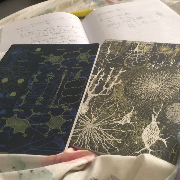 Neuron Softcover Notebook | Brain Notebook, Neuroscience, Future Doctor ...