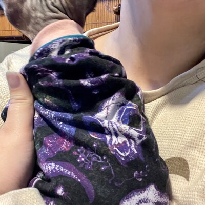 Sphynx Clothes Cat Sweater Cat Sewing Pattern Sphynx Kitten Clothes ...