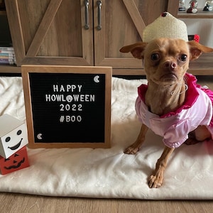 Princess Peach Dog Costume Mario Kart Costume Halloween Dog - Etsy