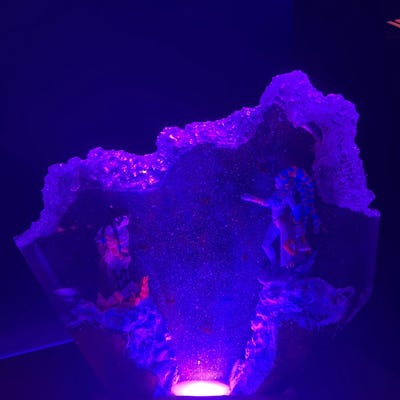 Octopus and Diver Resin Night Lights, Turtles Resin Lamp for Home Decor ...