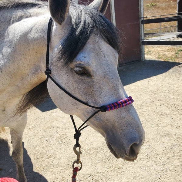 Custom Halter and Mecate Rein Set, Custom Mecate Reins, Mecate Training ...