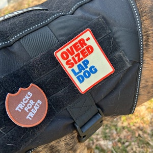 Dog Merit Badge Iron-on Patches for Dogs, Custom Dog Bandana Badges - Etsy