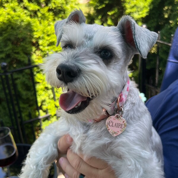 Pink Flowers Dog Tag, Dog ID Tag, Dog Tag, Floral Pet Tag, Girl Dog Tag ...