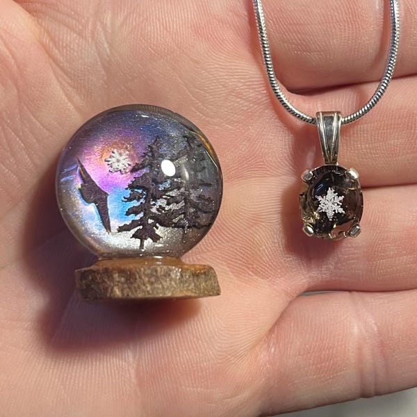 Real Snowflake Preserved - Artist Danielle Oliver - Captured Real ...