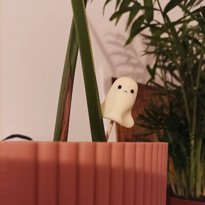 Ghost Plant Pot Accessory, Friend, Pal, House Plants, Garden, Urban ...