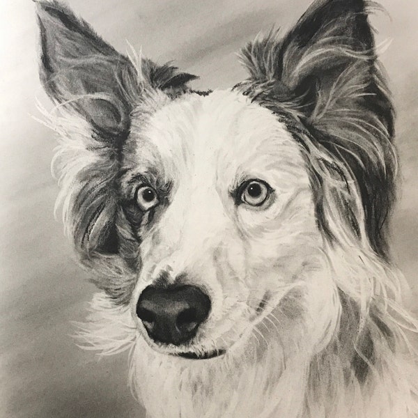 Pet Portrait Custom Charcoal Pet Loss Gift Dog Portrait Charcoal Pet ...