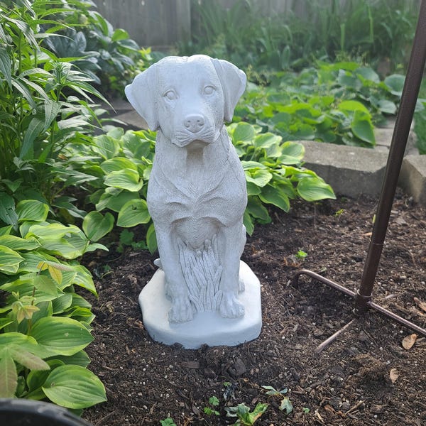Large Concrete Labrador Garden Statue 14.5" Cement Dog Sculpture Yard ...