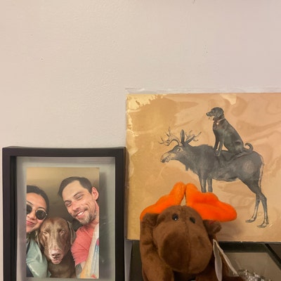 Labrador Retriever Chocolate Lab Riding Moose Vintage Collage Art Print ...