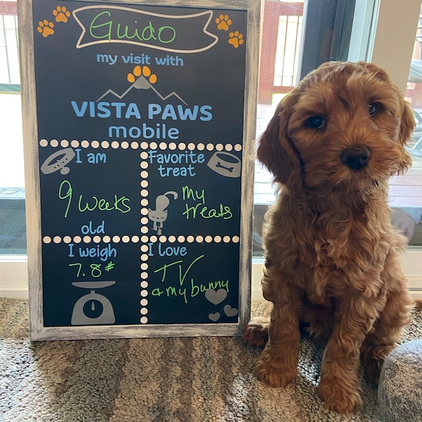 Veterinary First Visit Chalkboard - Vet Visit Chalkboard - Pets First ...