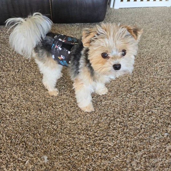 Dog Diaper Belly Band, Paws Fabric, Choose Tapered or Straight, With or ...