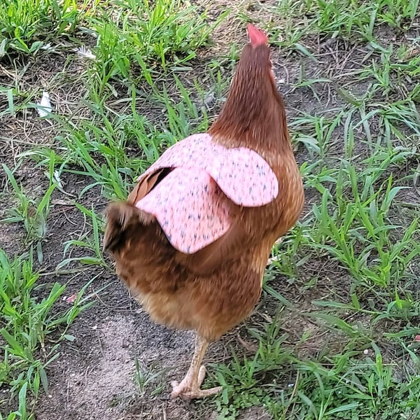 Hen Saddle, Chicken Apron Tail Guard AND Now Added Wing Guard! PDF ...