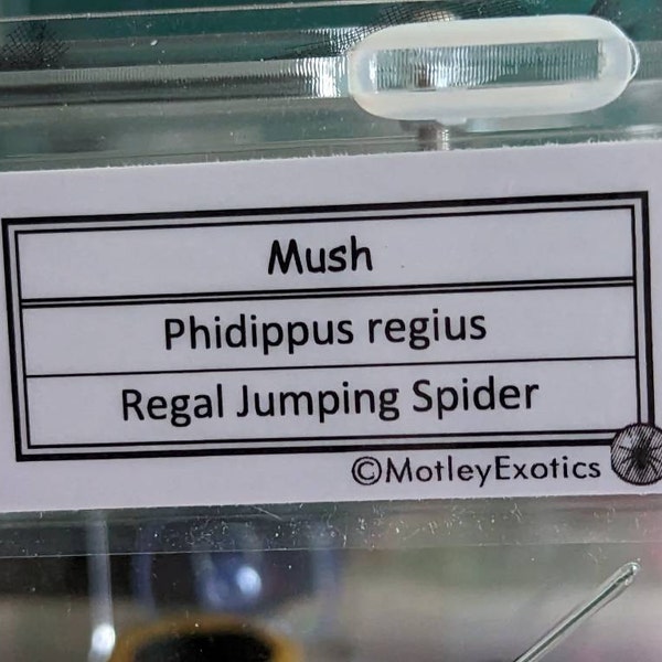 Small Terrarium Label Laminated Enclosure Label Exotic Pet Informative ...