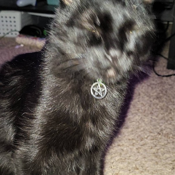 Witches Familiar Pentacle Cat Collar: Adjustable Pentacle Charm ...