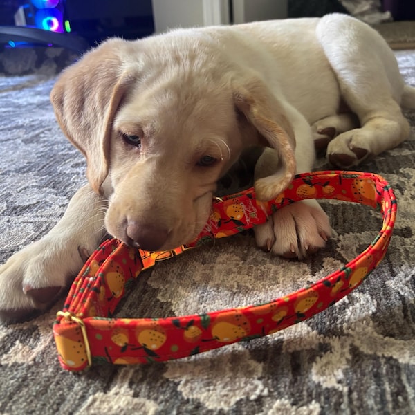 Personalized Dog Collar, Handmade Floral Pet Collar, Custom Dog ...