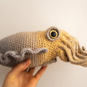 Crochet Pattern Realistic Cuttlefish-amigurumi Cuttlefish-stuffed ...