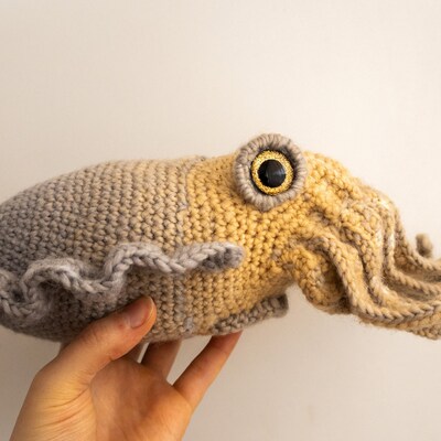 Crochet Pattern Realistic Cuttlefish-amigurumi Cuttlefish-stuffed ...