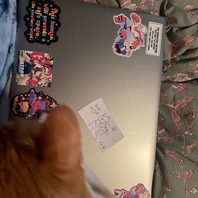 Smiling Friends Stickers Charlie and Pim - Etsy