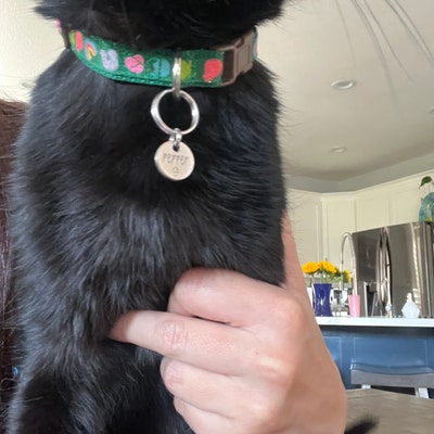 Brass Dog Tag, Personalized Brass Pet ID Tag, Custom Cat Tag, Unique ...