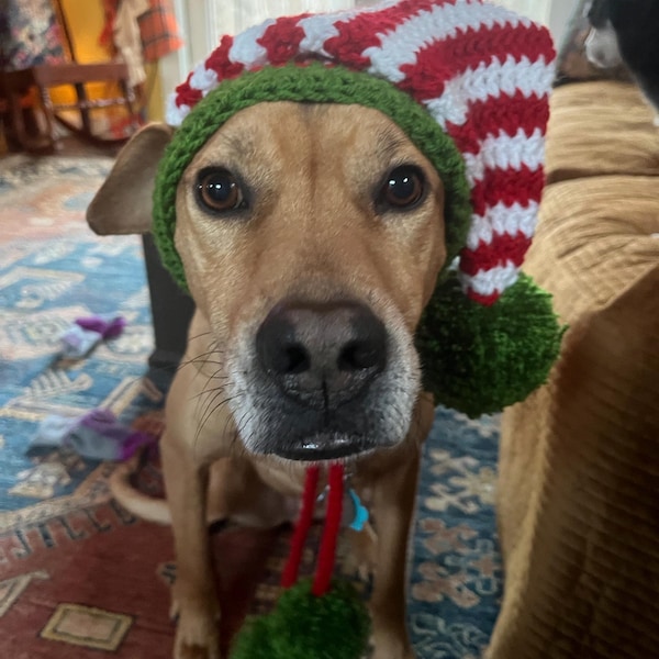 Devil Dog Costume, Devil Horns for Large Breed Dogs, Red Devil Dog Hat ...