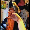 Dangling Cockatiel Keychain - Etsy