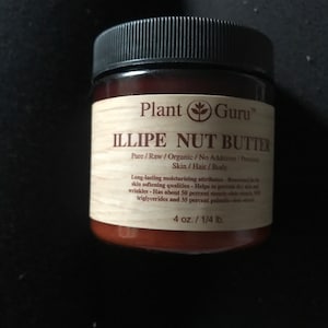 Illipe Nut Body Butter 100% Pure Raw Fresh Natural Cold Pressed. Skin ...